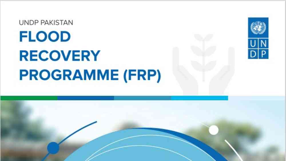 UNDP Pakistan Flood Recovery Programme (FRP) | IRP