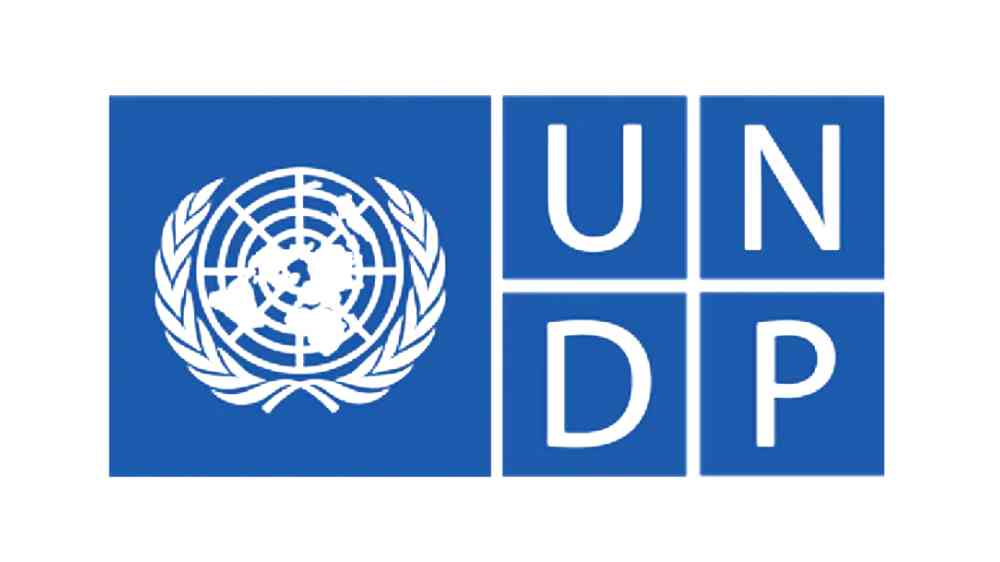 United Nations Development Programme (UNDP) | IRP